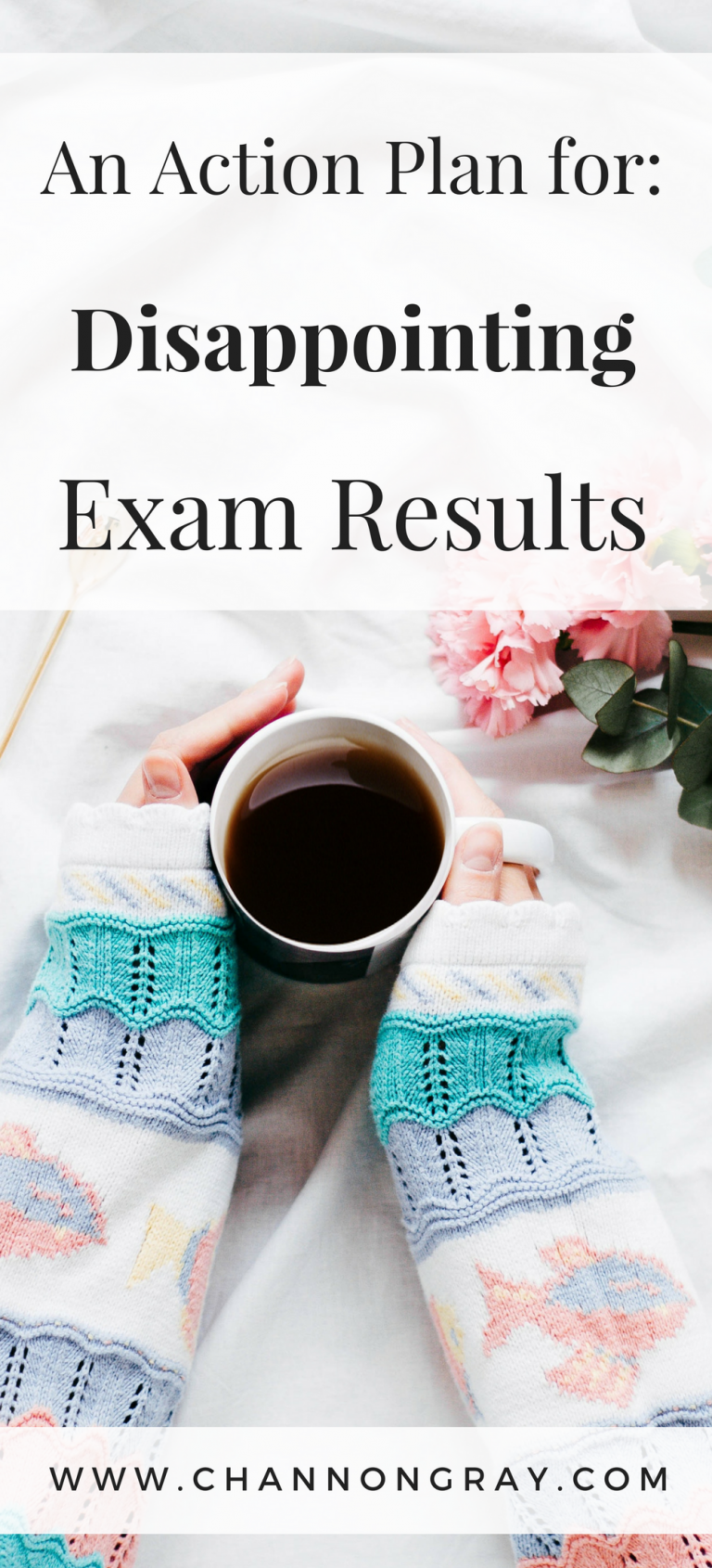 Disappointing Exam Results: An Action Plan – Channon Gray